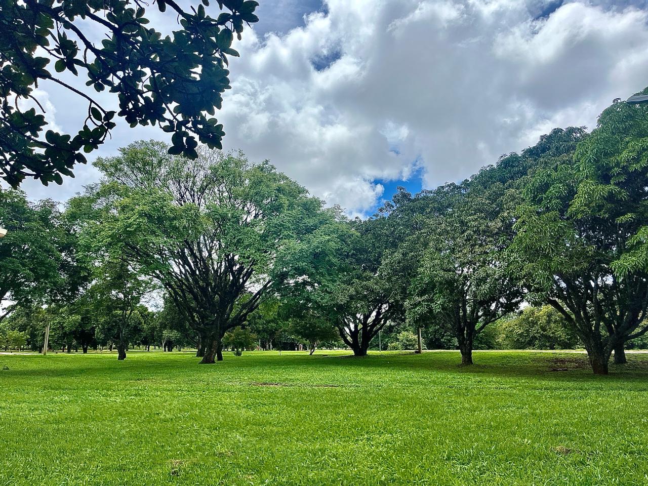 Praia ou o Parque? - Blog | Nosso Parque da Cidade