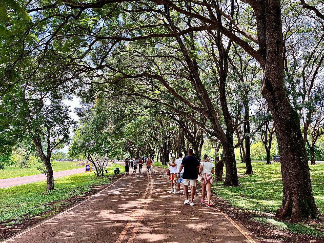 Uma praia democrática - Blog | Nosso Parque da Cidade
