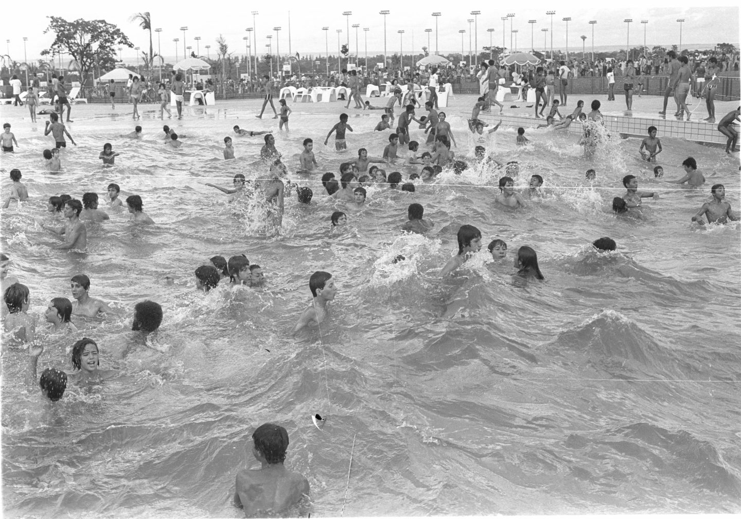 "Ah, o Parque é uma terapia!" - Blog | Nosso Parque da Cidade